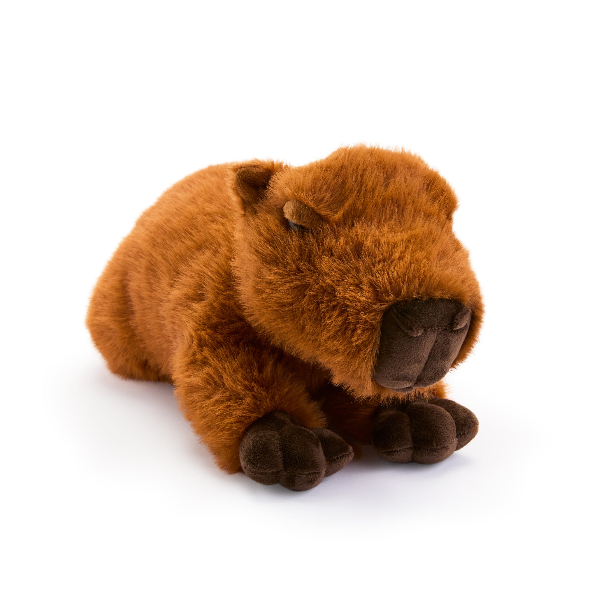 plush capybara